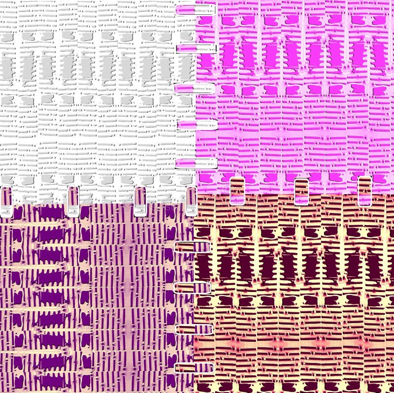 Set of Four Patterns in Different Colors Stock Illustration ...