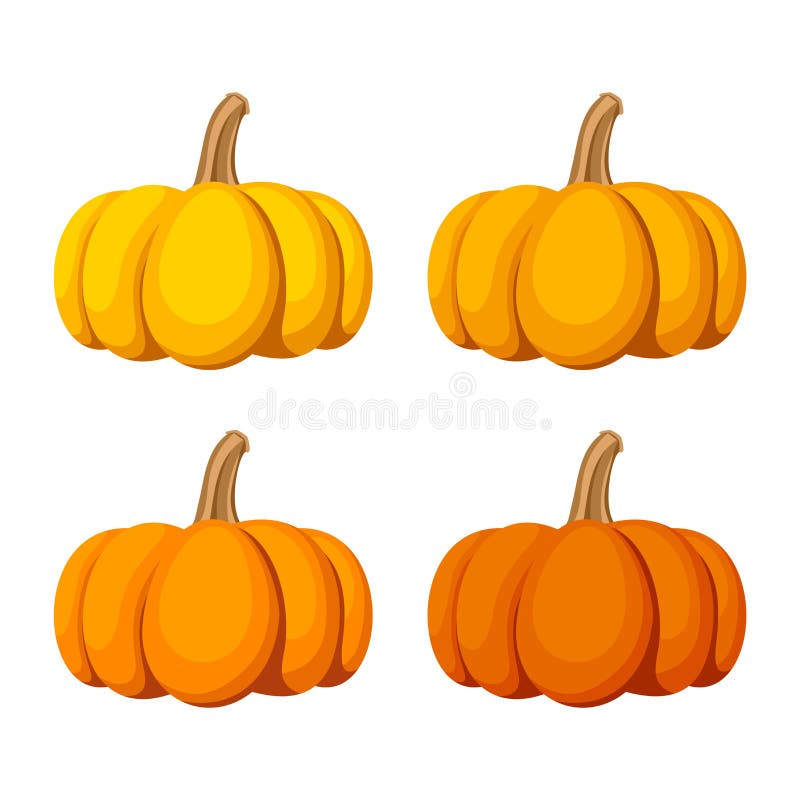 Set of Four Pumpkins on a White Background. Vector Illustration. Stock ...