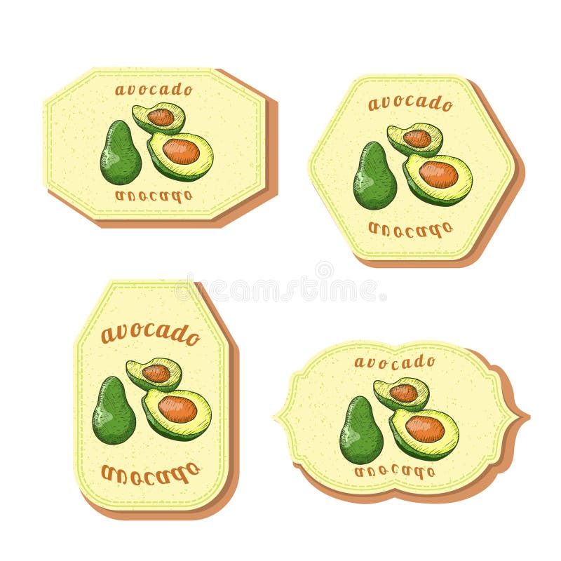 Set with Four Rectangular Labels for Avocado Fruit Stock Vector ...