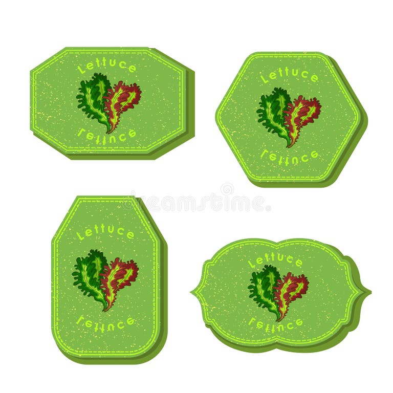 Set with Four Rectangular Labels for Lettuce Stock Vector ...