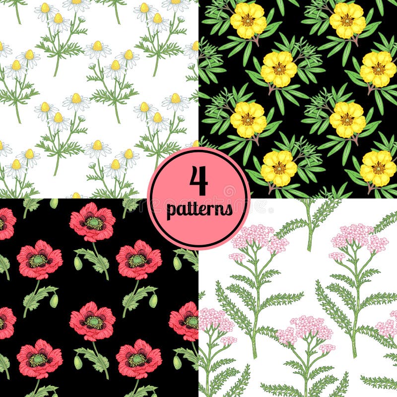 Set of Floral Seamless Patterns. Stock Vector - Illustration of ...