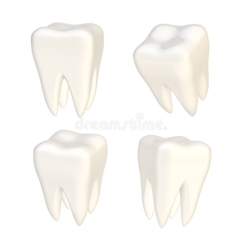 Set of four teeth isolated stock illustration. Illustration of cavity ...