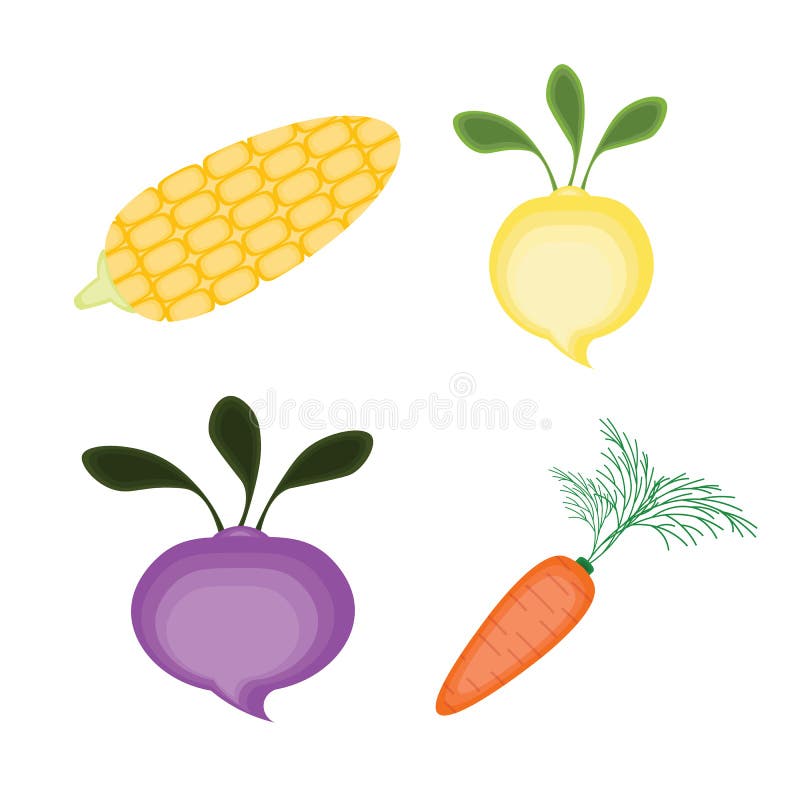 Set of four vegetables stock vector. Illustration of icon - 76270093