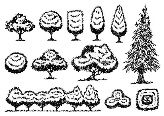 Set of Free Hand Drawing Trees, Vector Illustration Design Stock Vector ...