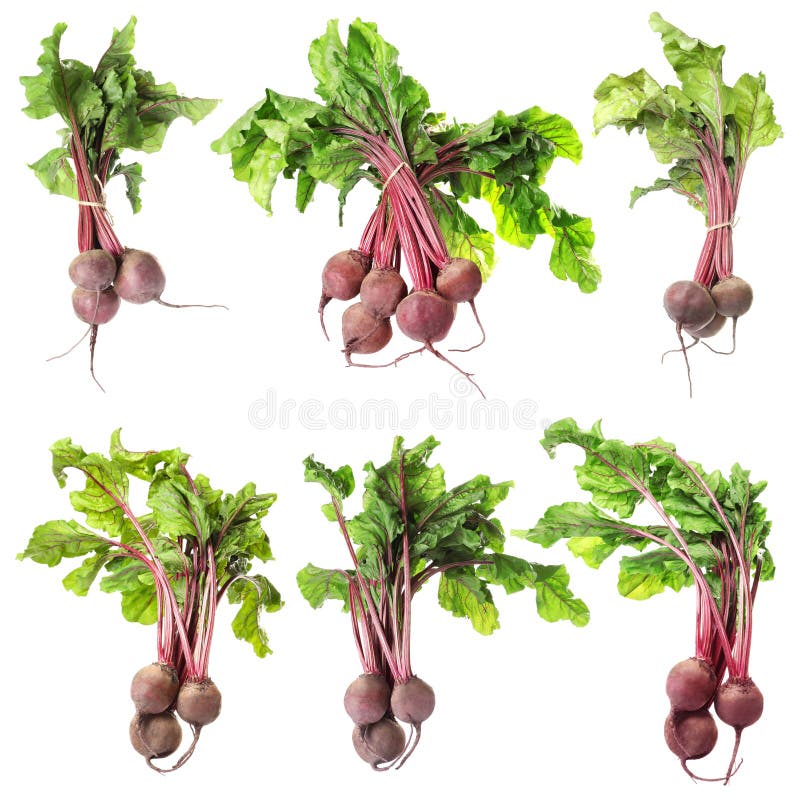 Set of Fresh Beets on White Background Stock Photo - Image of green ...