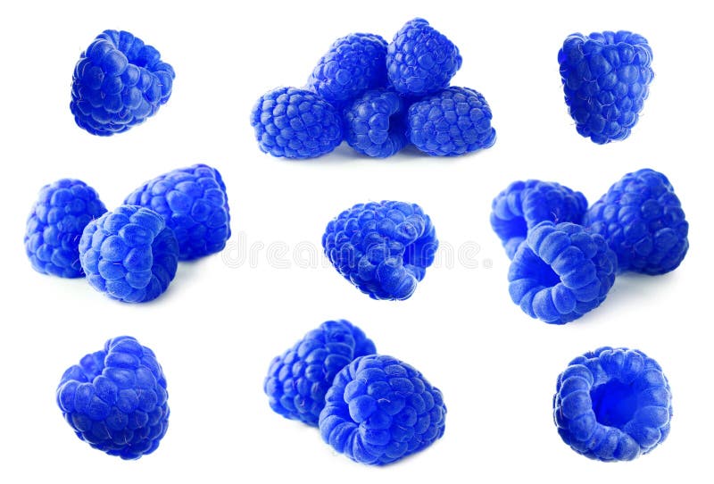 Set of Fresh Blue Raspberries on White Background Stock Photo - Image ...