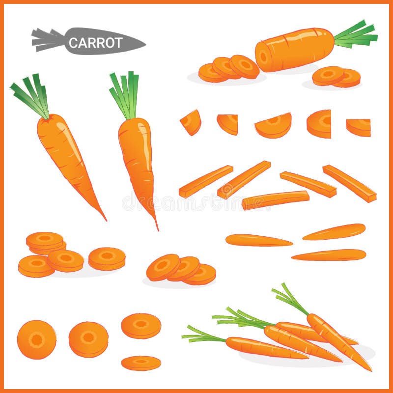 Set of Fresh Carrot Vegetable with Carrot Tops in Various Cuts and ...