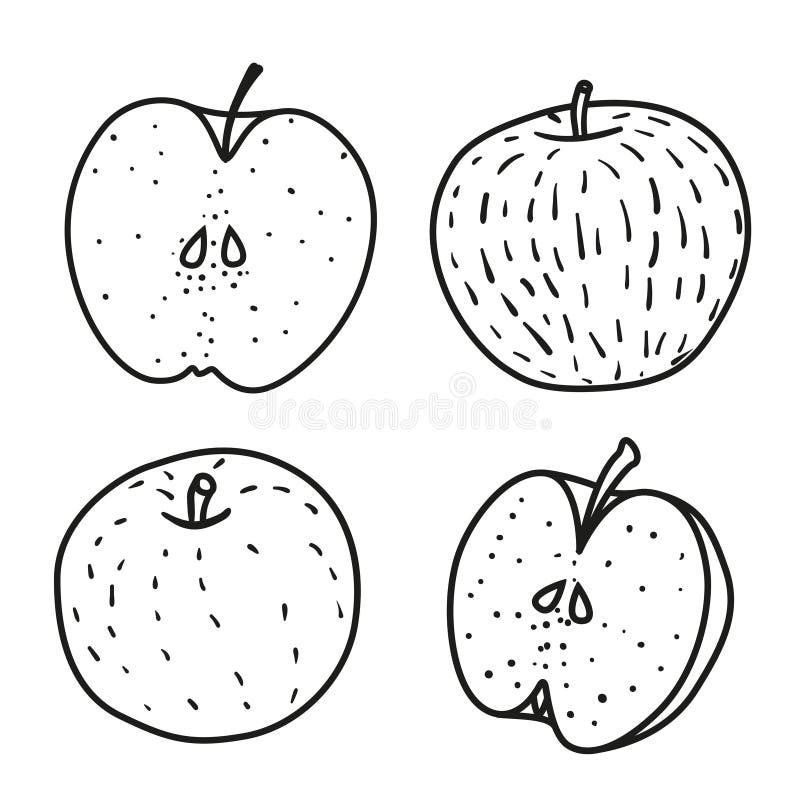 Set of Fresh Contour Apple. Doodle Style. Stock Vector - Illustration ...