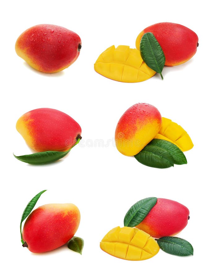 Fresh Mango Fruit with Green Leaves Isolated on White Background Stock ...
