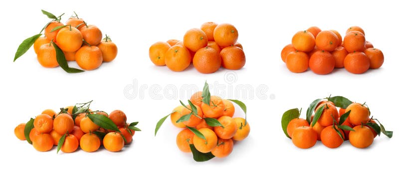 Set with Fresh Ripe Tangerines on White Background. Banner Design Stock ...