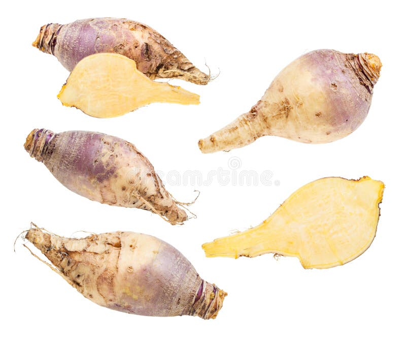 Set of Fresh Rutabaga Roots Isolated on White Stock Image - Image of ...