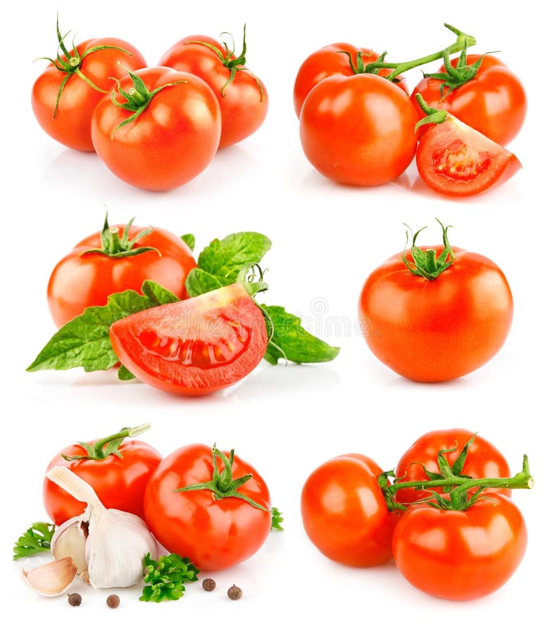Set Fresh Tomato Fruits with Green Leaves Stock Photo - Image of fruit ...