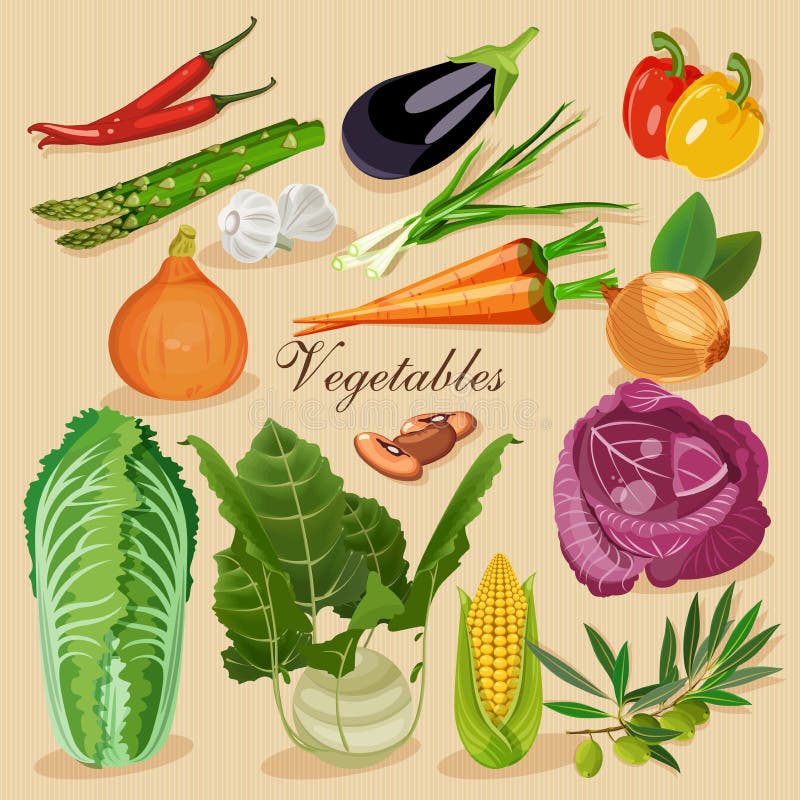 Set of Fresh Vegetables. Green Grocery Stock Vector - Illustration of ...