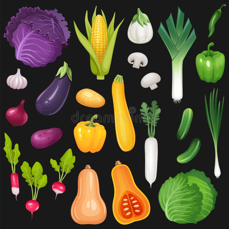 Set of fresh vegetables stock vector. Illustration of nutrition - 75125162
