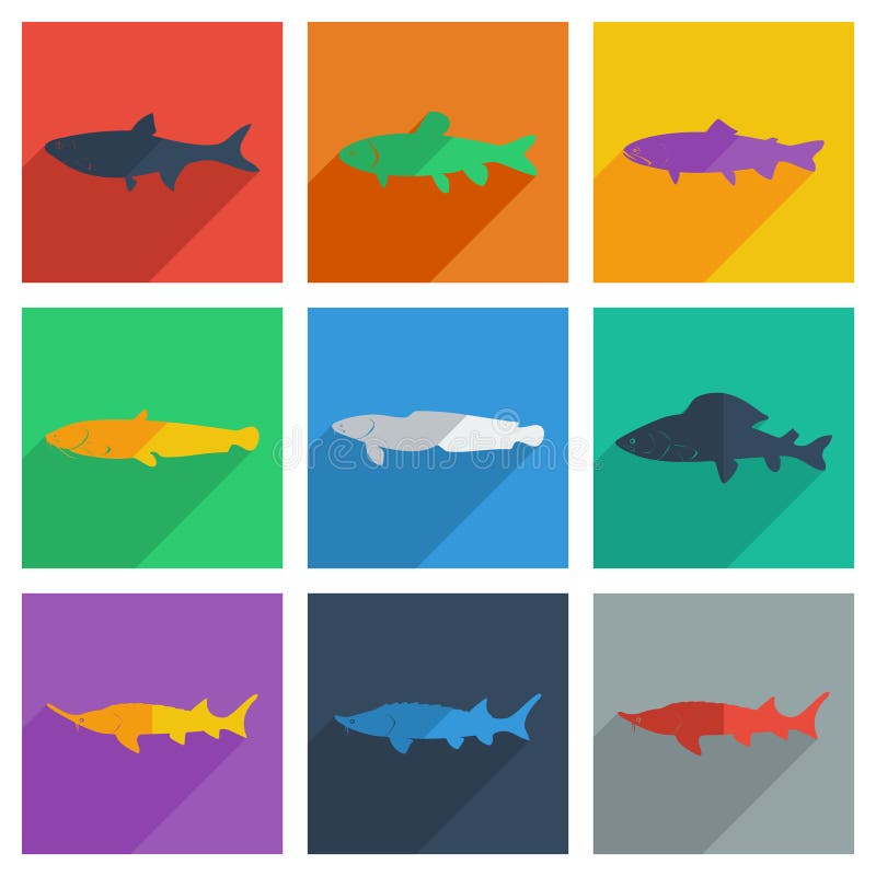 Set of Freshwater Fish with Shadow Flat Concept Stock Vector ...
