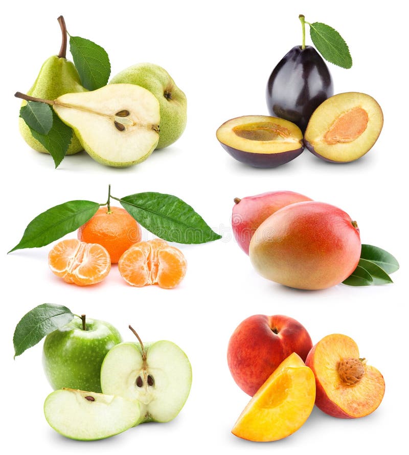 Fruit Sampler stock photo. Image of dish, rock, path, seed - 6432122