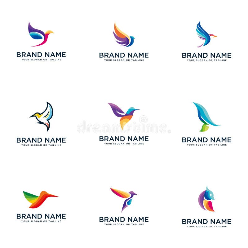 Set Full Color Bird Design Logo Vector Template Stock Vector ...