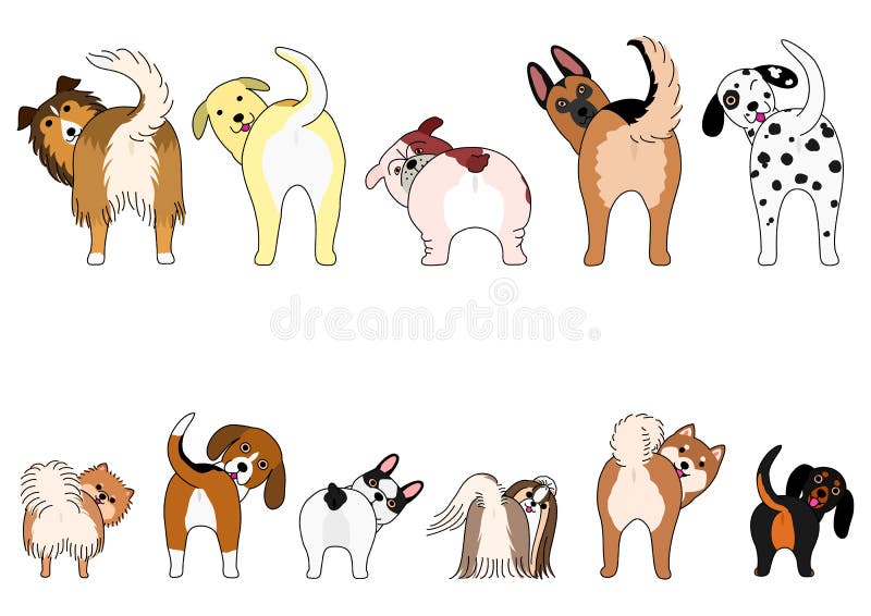 Dog Butt Clipart