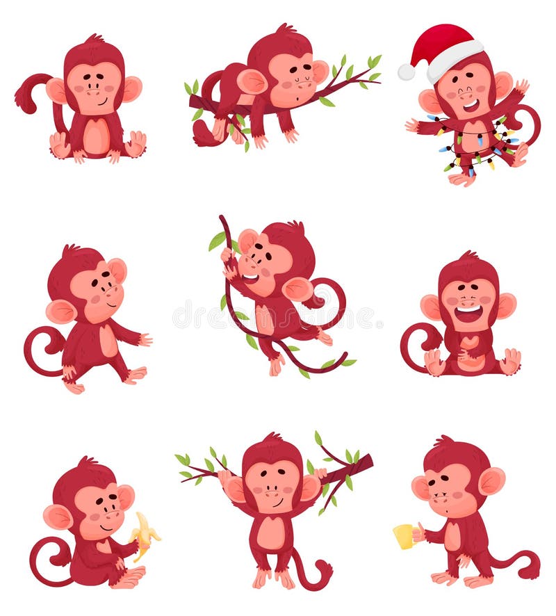 Set of Funny Red Monkeys in Different Actions and Poses Vector ...