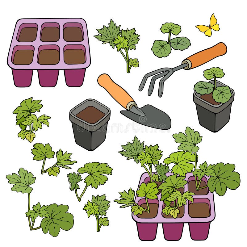 Set of Garden Cartoon Hand Drawn Elements Stock Vector - Illustration ...