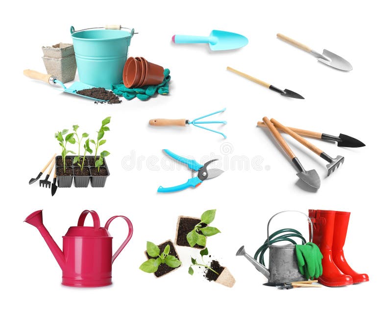 Set of Gardening Tools and Vegetable Seedlings on Background Stock ...