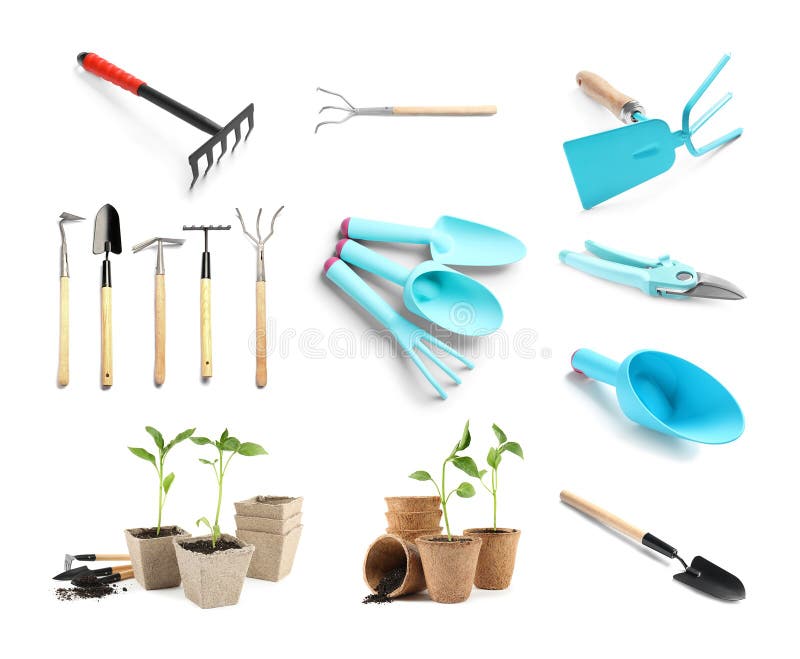 Set of Gardening Tools and Vegetable Seedlings on Background Stock ...