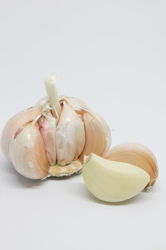 Set of Garlic stock image. Image of garlic, cooking - 291260423