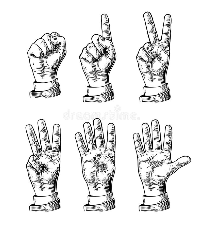 Set of Gestures of Hands Counting from Zero To Five. Male Hand Sign ...