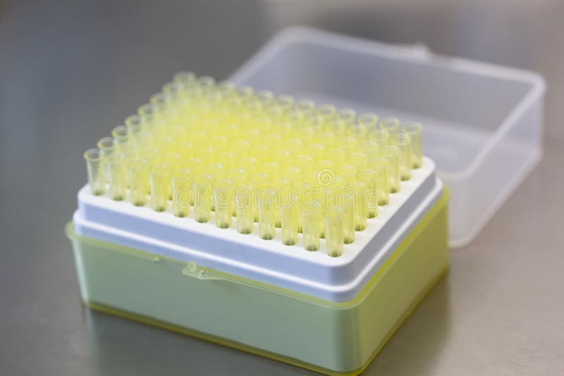 A Set of Glass Tubes for Samples. Laboratory Chemical Equipment Stock ...