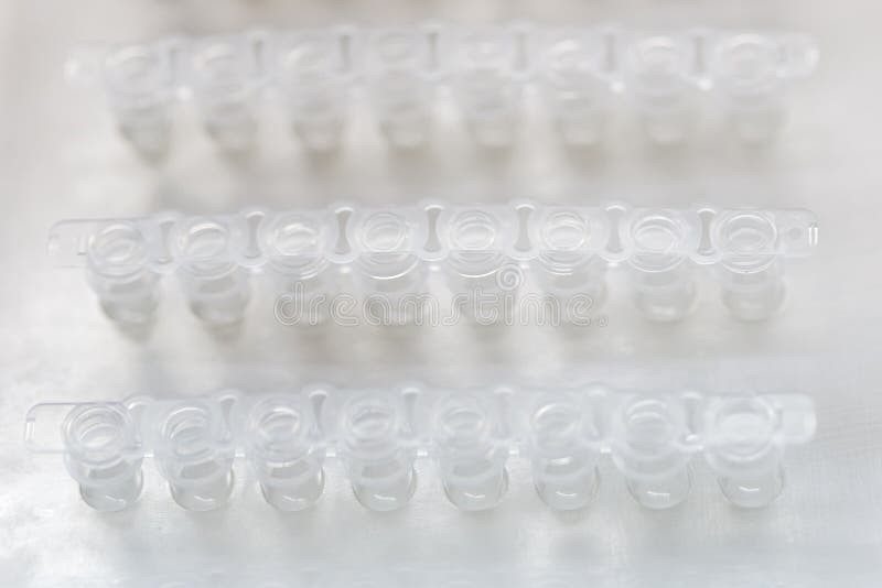 A Set of Glass Tubes for Samples. Laboratory Chemical Equipment Stock ...