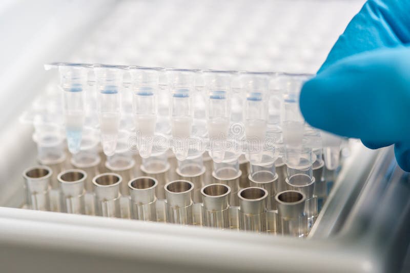 A Set of Glass Tubes for Samples. Laboratory Chemical Equipment Stock ...