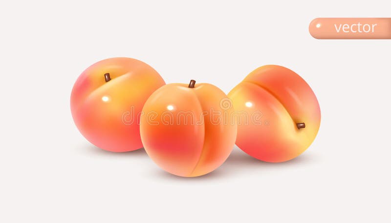 Set of Glossy Peaches with Shadows. 3d Vector Set Isolated Stock Vector ...