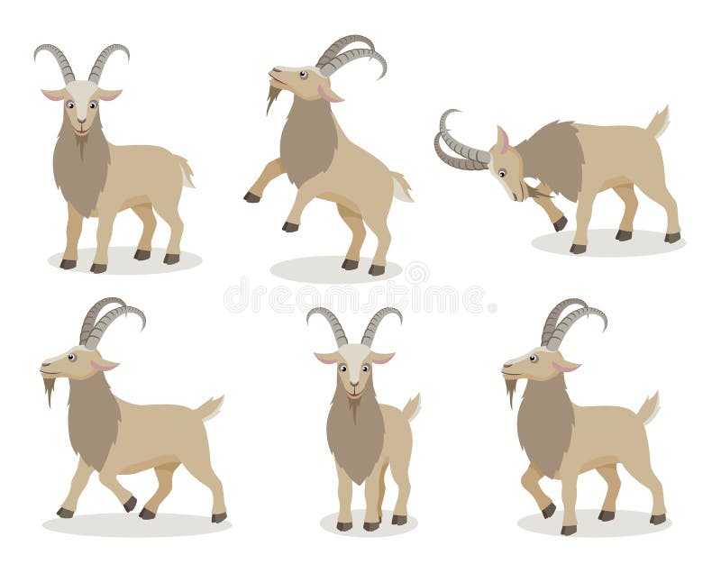 Cartoon Goat in Different Poses in Flat Style Stock Vector ...