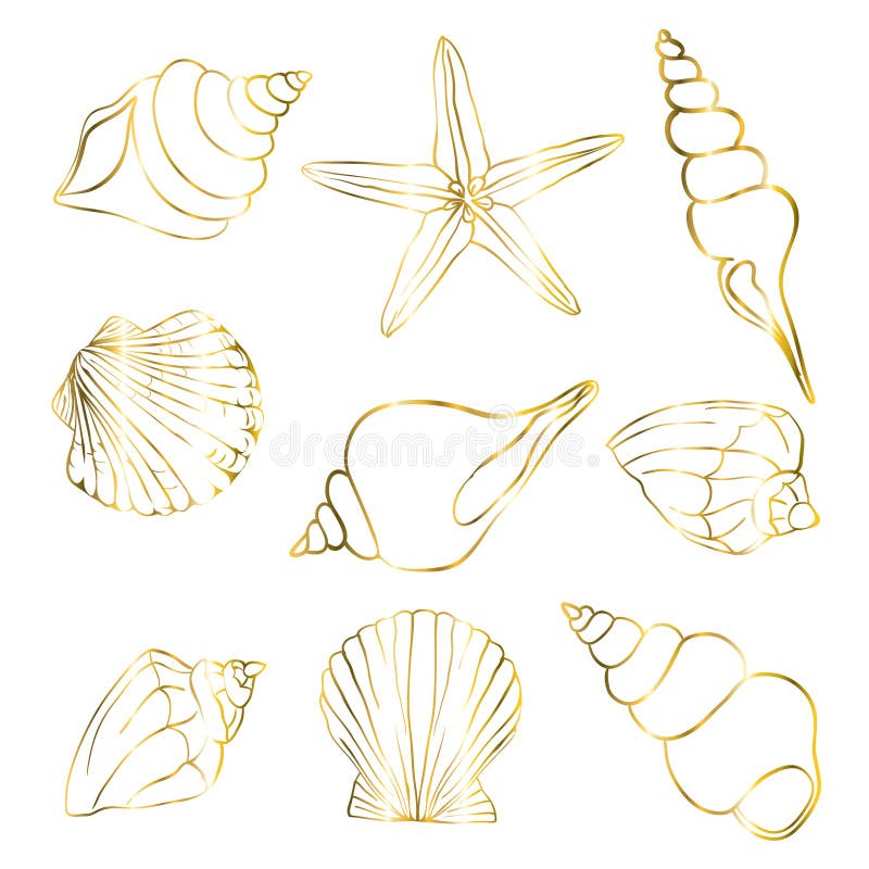 Gold Shells Stock Illustrations – 1,673 Gold Shells Stock Illustrations ...