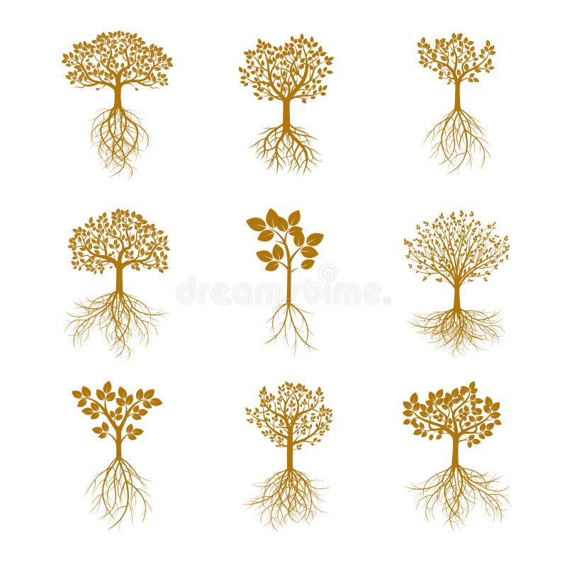 Set Golden Tree and Leafs. Vector Illustration. Stock Illustration ...
