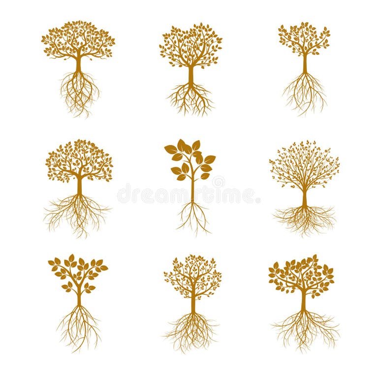 Golden Tree Roots Stock Illustrations – 5,254 Golden Tree Roots Stock ...