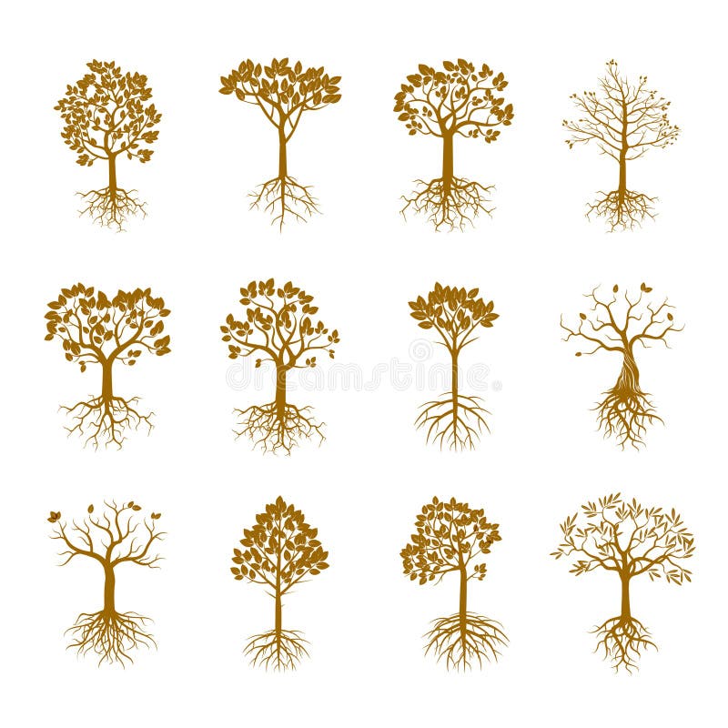 Set of Golden Trees and Roots Stock Illustration - Illustration of ...