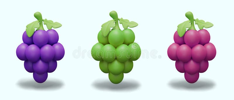Set of Grapes of Different Colors. Grapes of Various Types Stock Vector ...