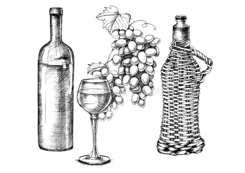 Set of Grapes, Wine with Hand-drawing Style Stock Illustration ...