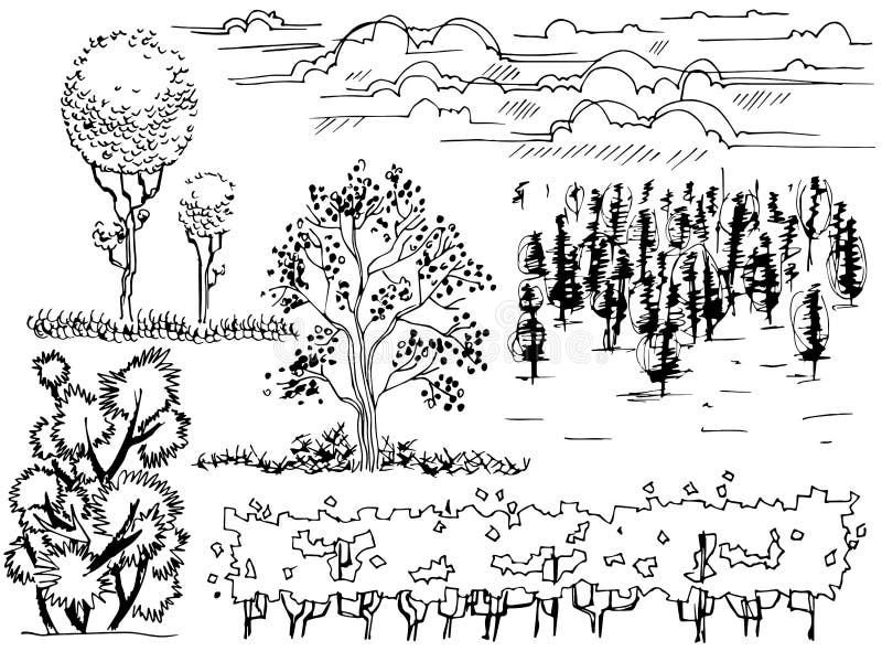 Set of Graphic Line Illustration , the Entourage of Trees on a White ...