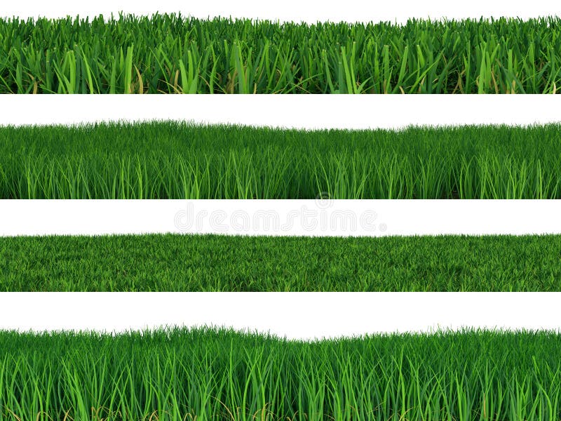 Set grass stock illustration. Illustration of nature - 19229381