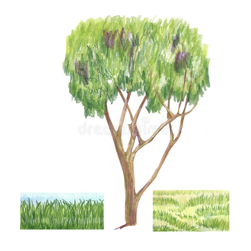 Set of Grass Fields Texture and Group of Trees Made in the Technique of ...