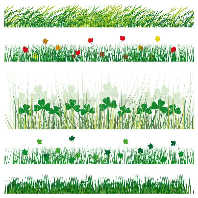 Set grass and leaves stock vector. Illustration of meadow - 20192868