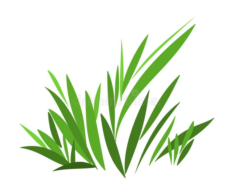 Simple Stylized Green Grass Illustration Stock Vector - Illustration of ...