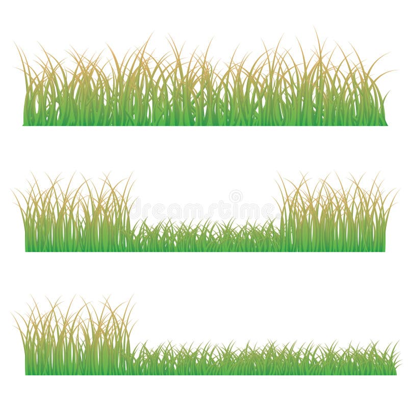 Set of Grass Vectors Isolated on White Background Stock Vector ...