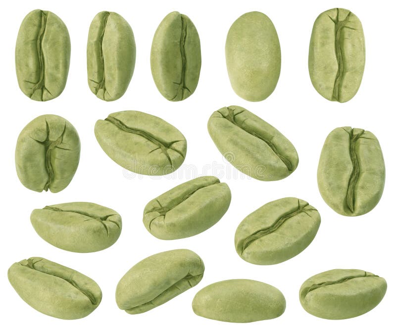 Set of Green Coffee Beans in Different Angles Stock Illustration ...