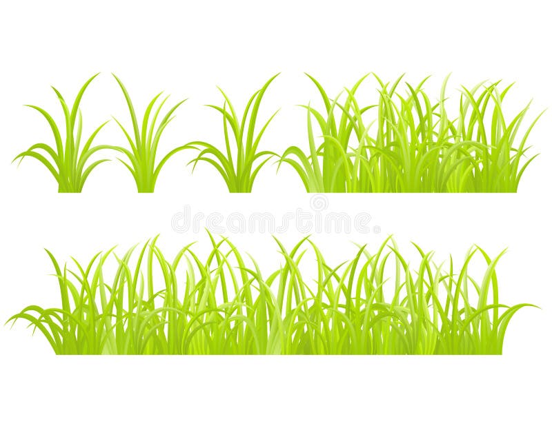 Green Grass Silhouette. Cartoon Lines of Plants and Shrubs for Boarding ...