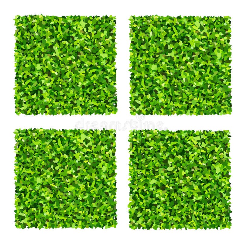 Set of Green Grass. Realistic Green Lawn Pattern and Texture for ...