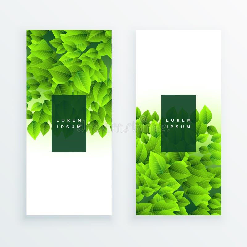 Salons Cosmetics Travel Agencies Stock Illustrations – 3 Salons ...