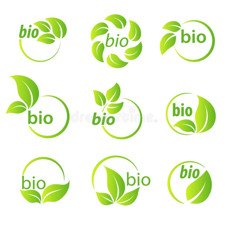 Set of Green Leaves Bio Symbol Design Elements Stock Vector ...